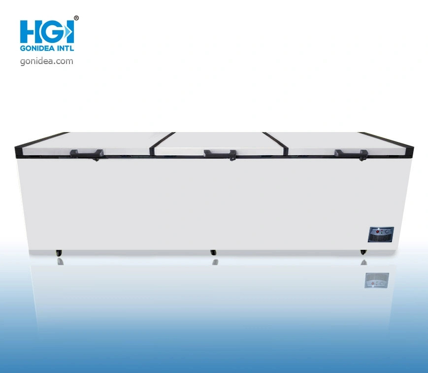 220V/50Hz Deep Chest Freezer with Recessed Door Handle and Door Lock